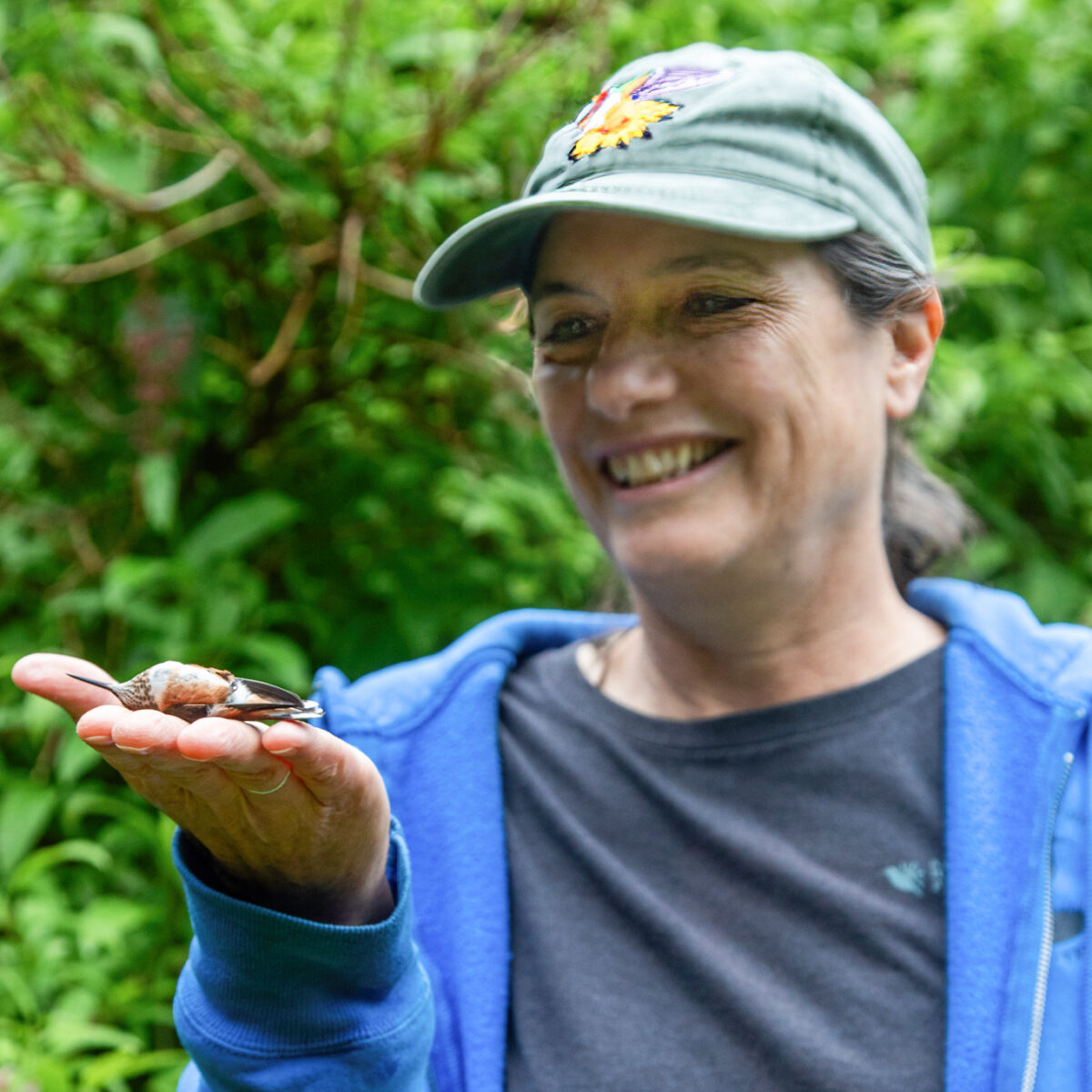 Hummingbird Presentations - Sedona Hummingbird Festival